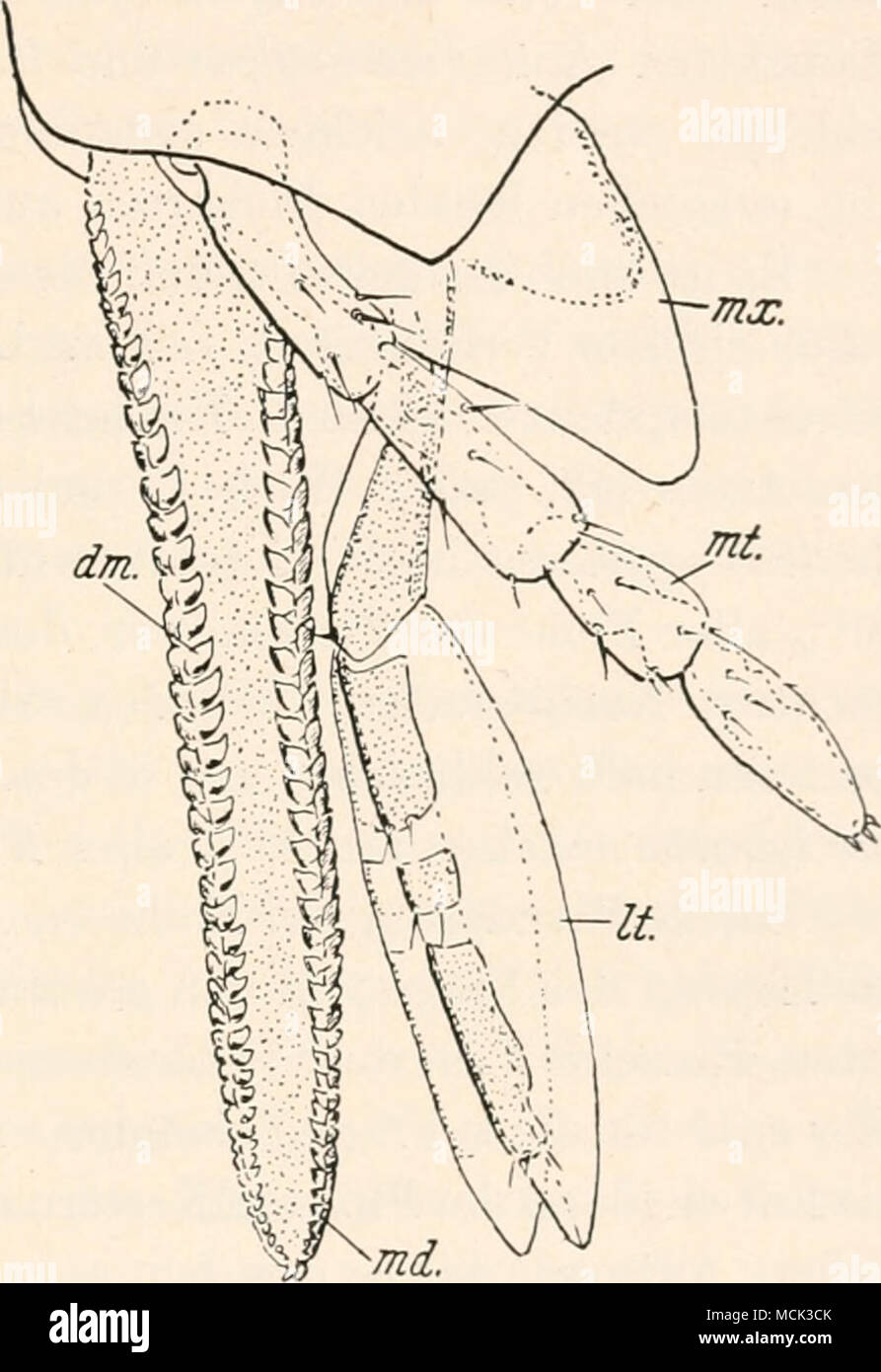 Wagn hi-res stock photography and images - Alamy