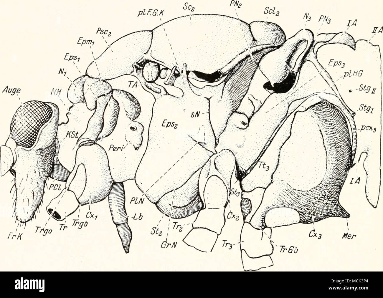 Pn eps hi-res stock photography and images - Alamy