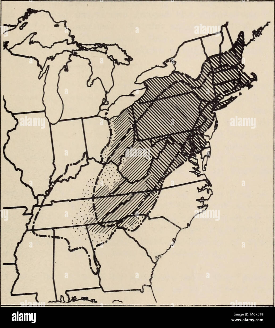 Chestnut blight hi-res stock photography and images - Alamy