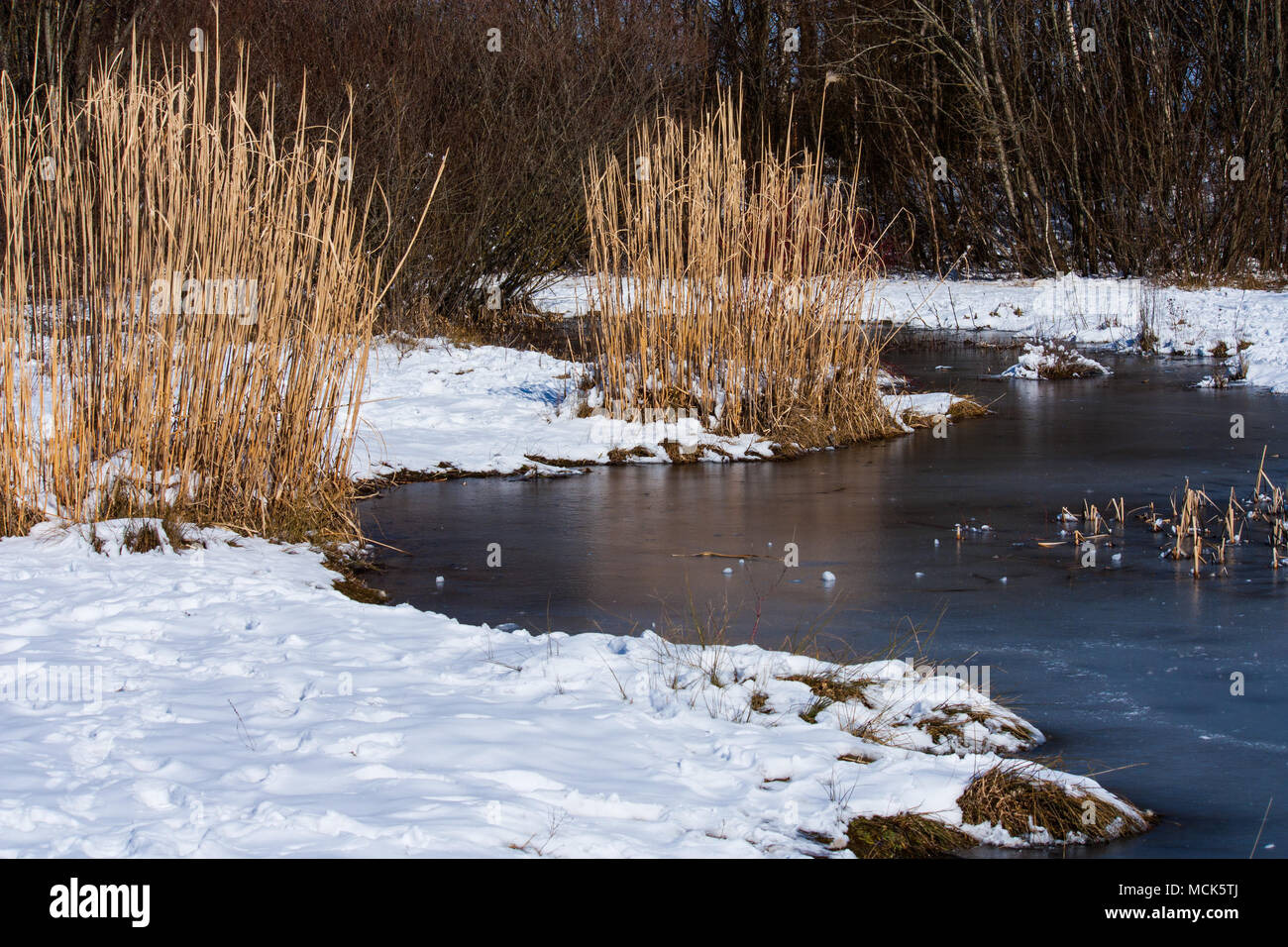 Icy lake on a day in winter Stock Photo - Alamy