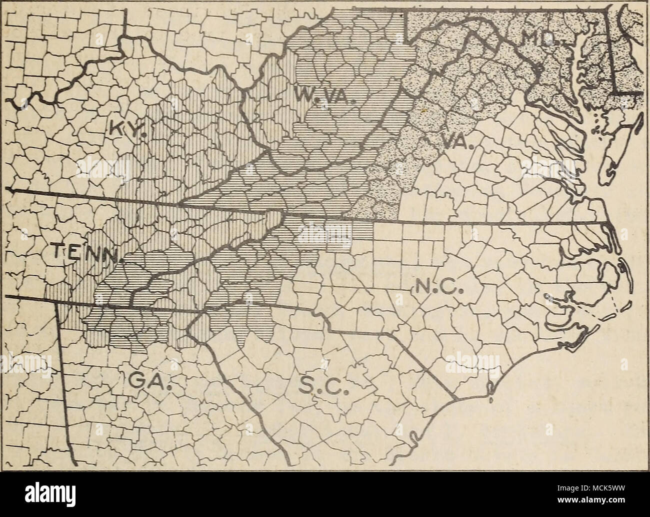 Chestnut blight hi-res stock photography and images - Alamy
