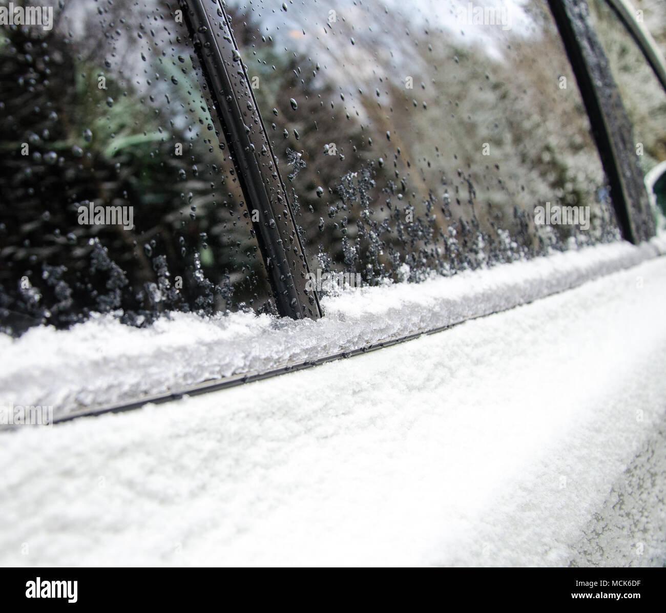 Frozen car covered with snow and ice in winter. melting ice on the car ...