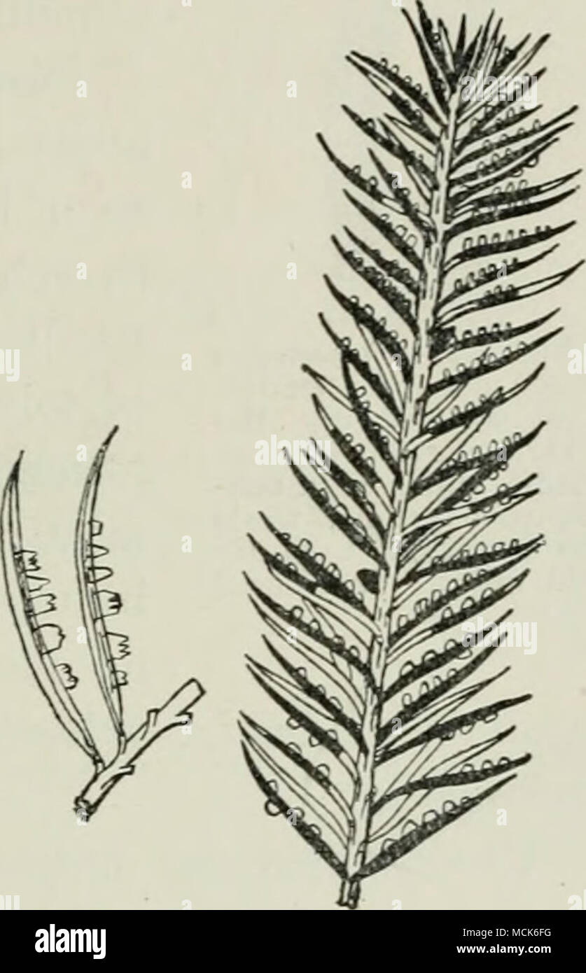 212 Inter High Resolution Stock Photography and Images - Alamy