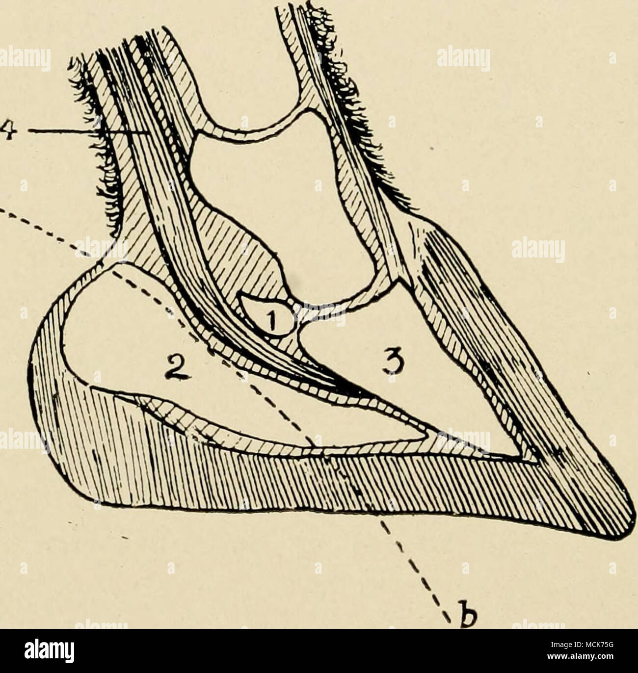 . Fig. 165.—Diagram showing the Course taken by the Needle when ...