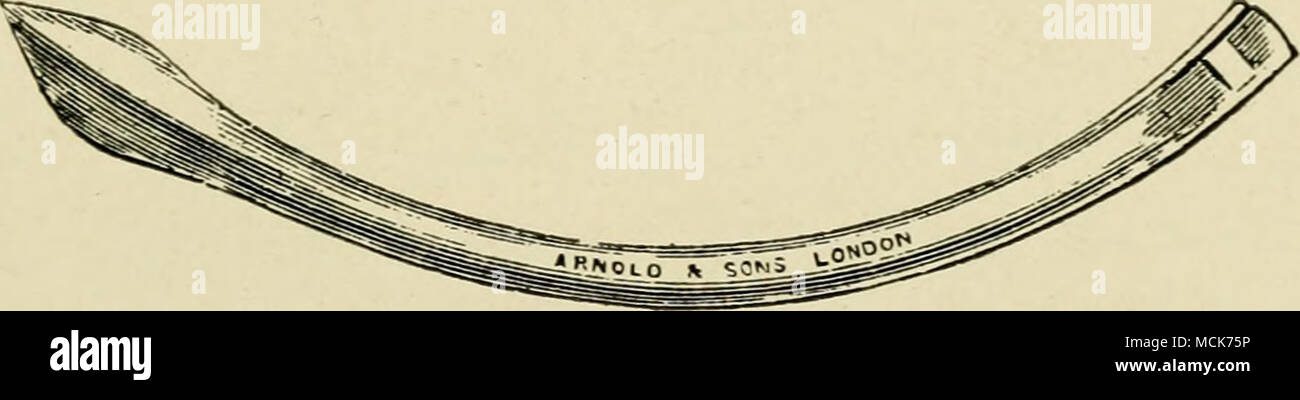 Seton needle hi-res stock photography and images - Alamy