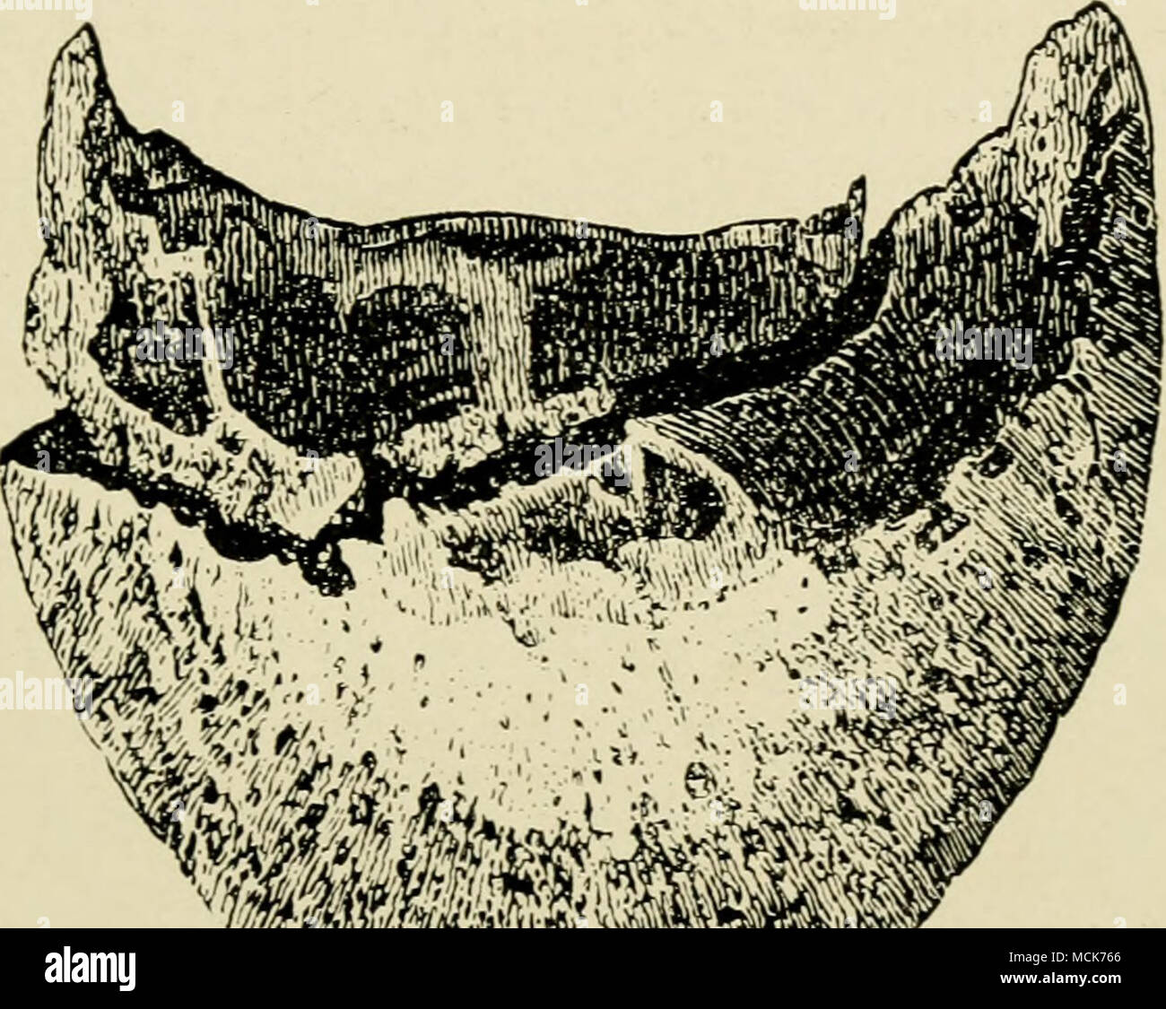 Useless gate hi-res stock photography and images - Alamy