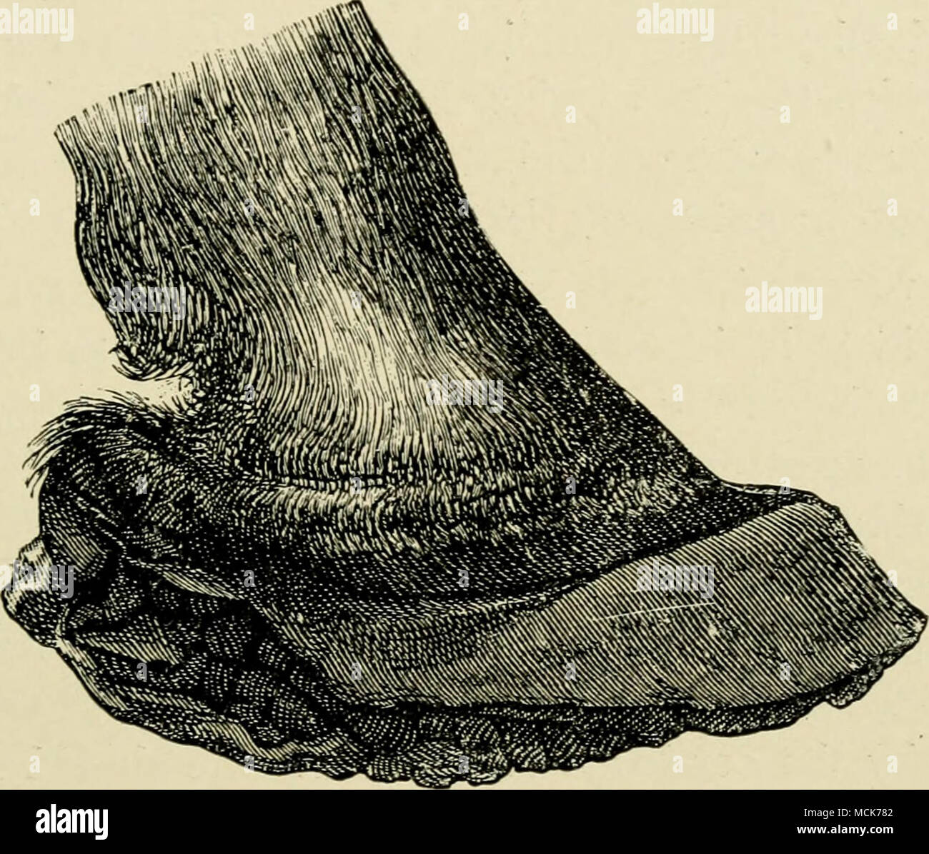 Maintain Structures High Resolution Stock Photography and Images - Alamy