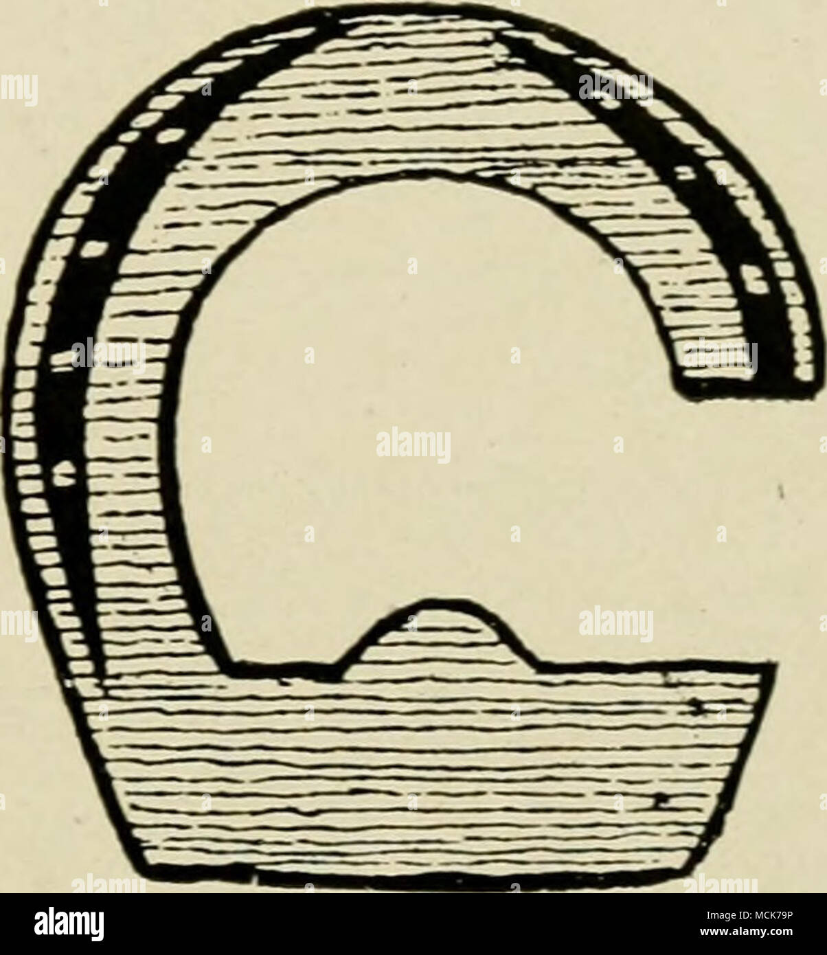 . Fig. 102.—Three-quarter Fig. 103.—Three-quarter Shoe. Bar Shoe. In ...