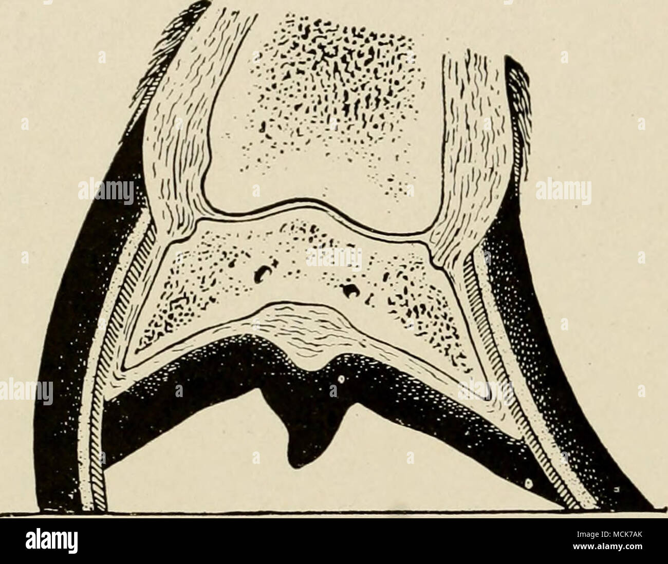 Gradual incline hi-res stock photography and images - Alamy