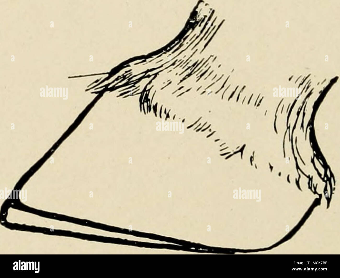 . Fig. 64.—The Tip Shoe 'let in' the Foot. striving for—namely, frog ...