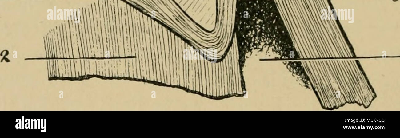 Os diagram hi-res stock photography and images - Alamy