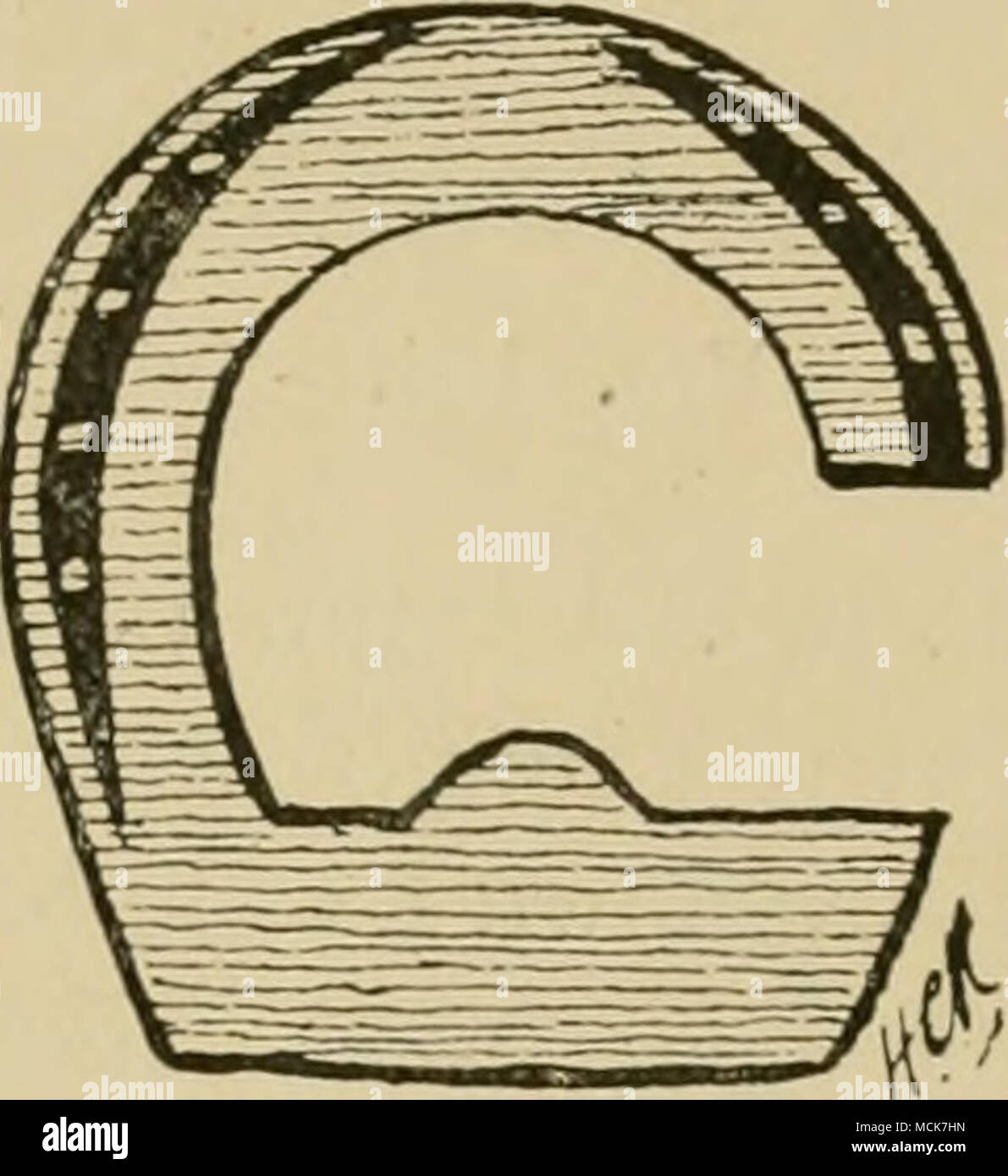 Fig 102 103 hi-res stock photography and images - Alamy