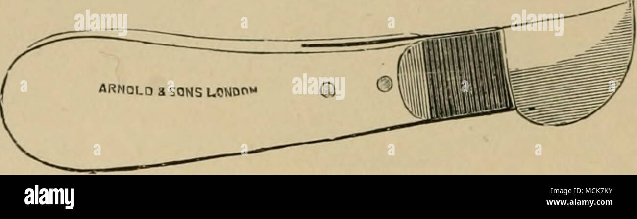 Neurectomy hi-res stock photography and images - Alamy