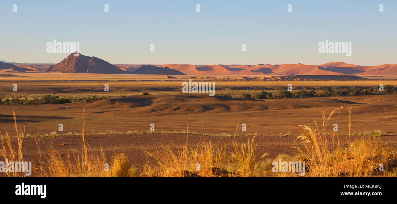 Sand Dunes of Namibia Stock Photo - Alamy