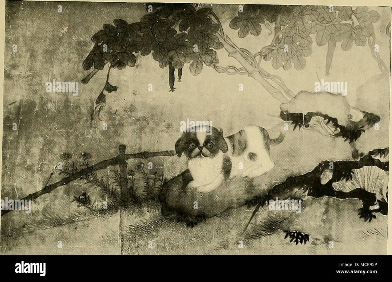 . LO-SZE DOG. "SHEN CHEN-LIN. CAREFUL DRAWING* Stock Photo - Alamy