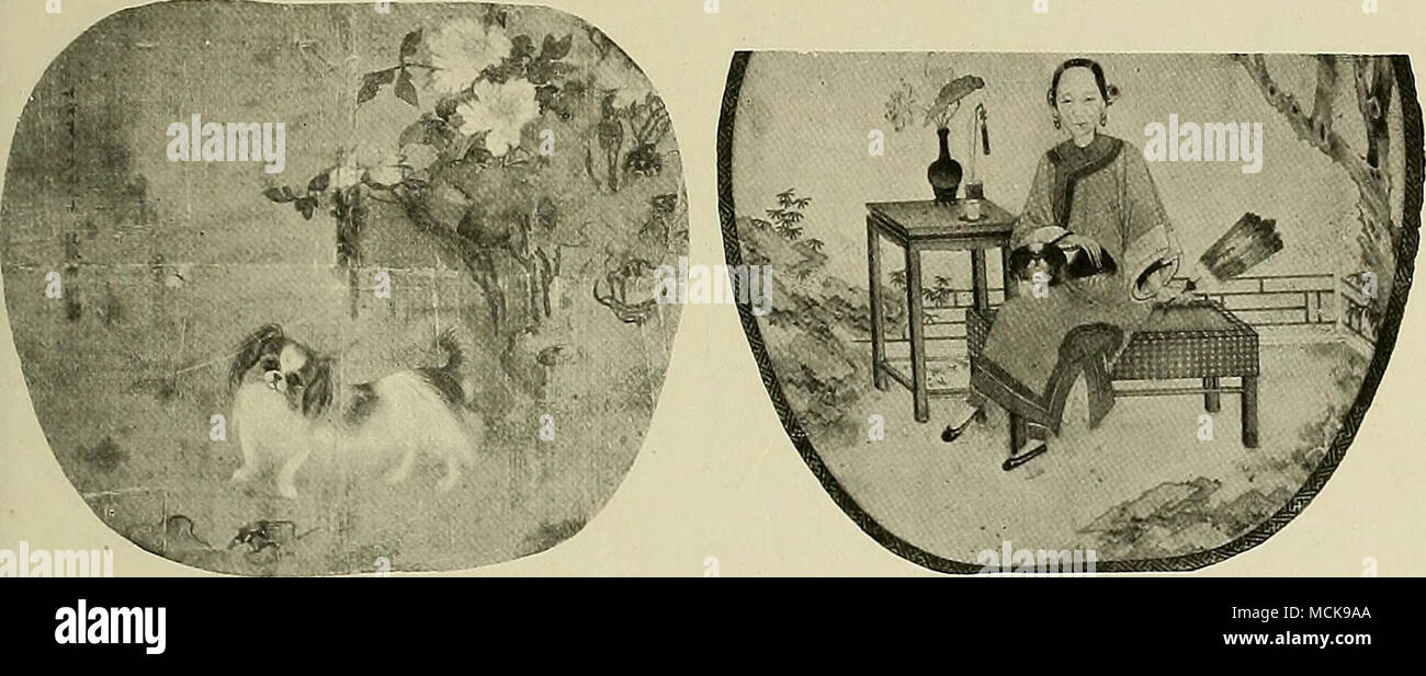 Shen lin hi-res stock photography and images - Alamy
