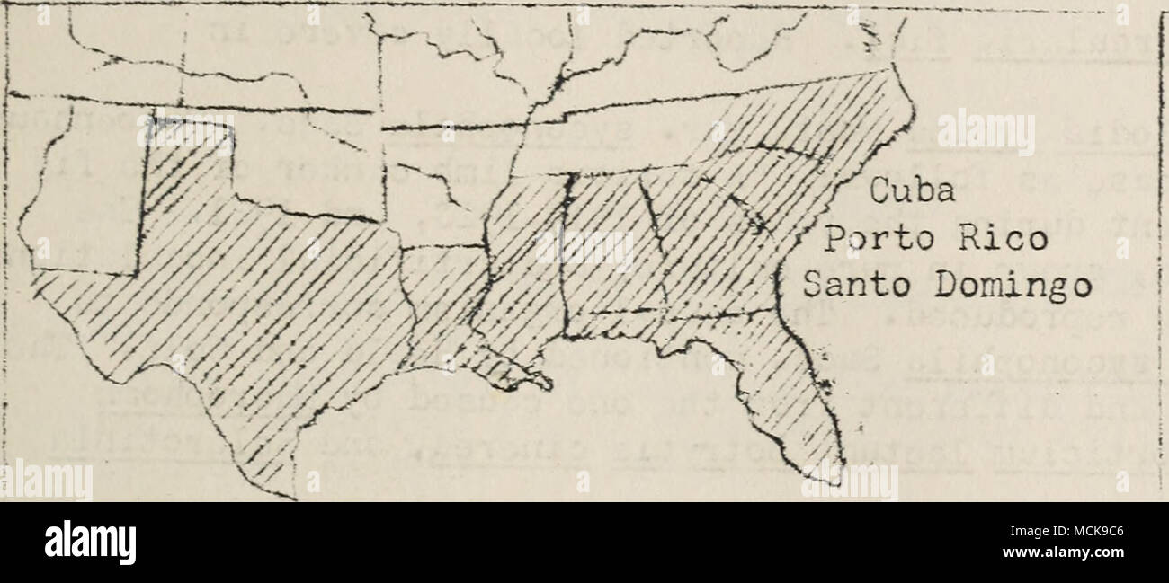 Aspergillus niger hi-res stock photography and images - Alamy
