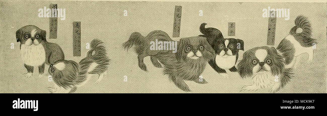 Lo sze hi-res stock photography and images - Alamy