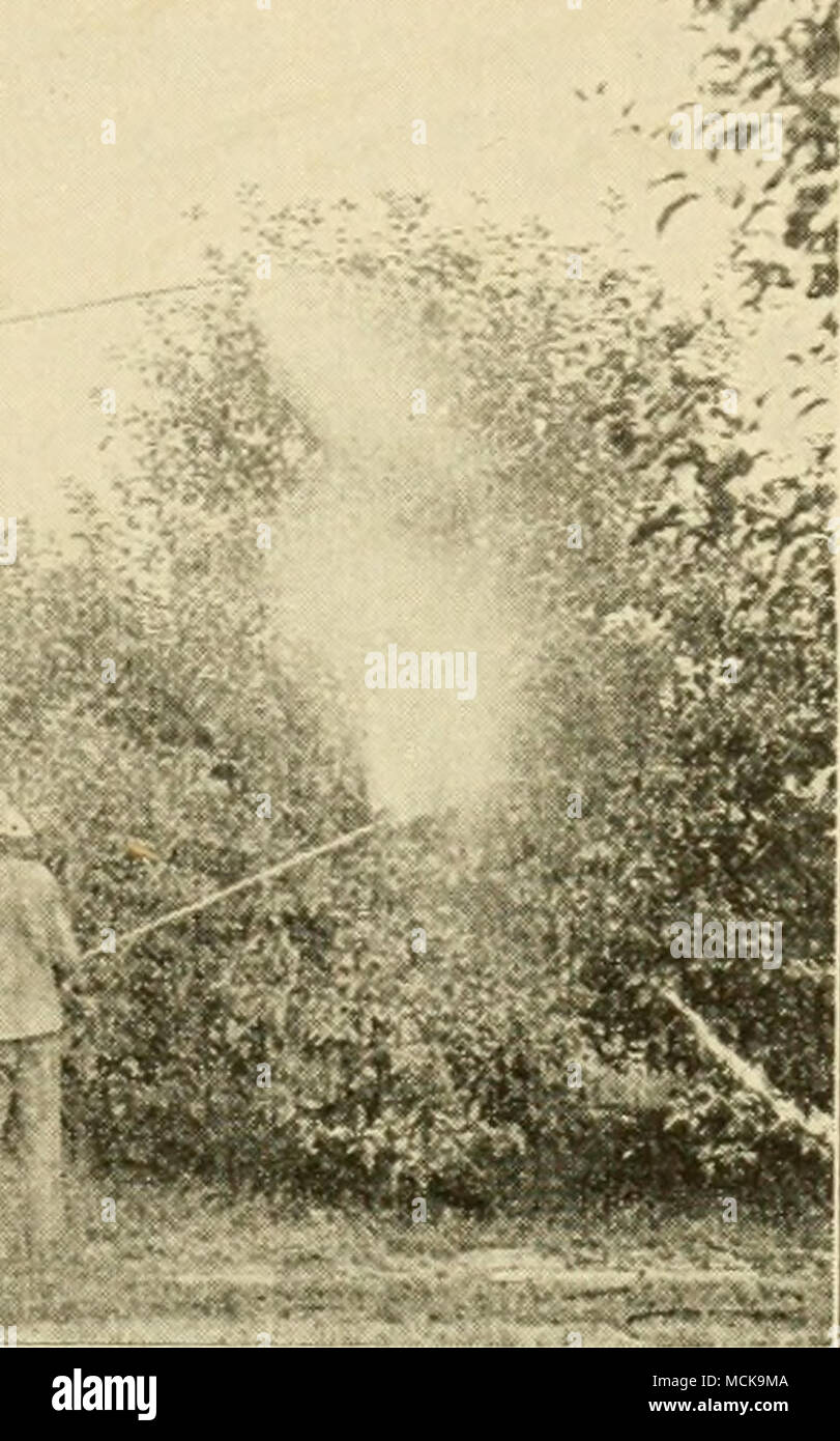 . Fig. 230. â The nozzles are turned at an angle to the rod so that the ...