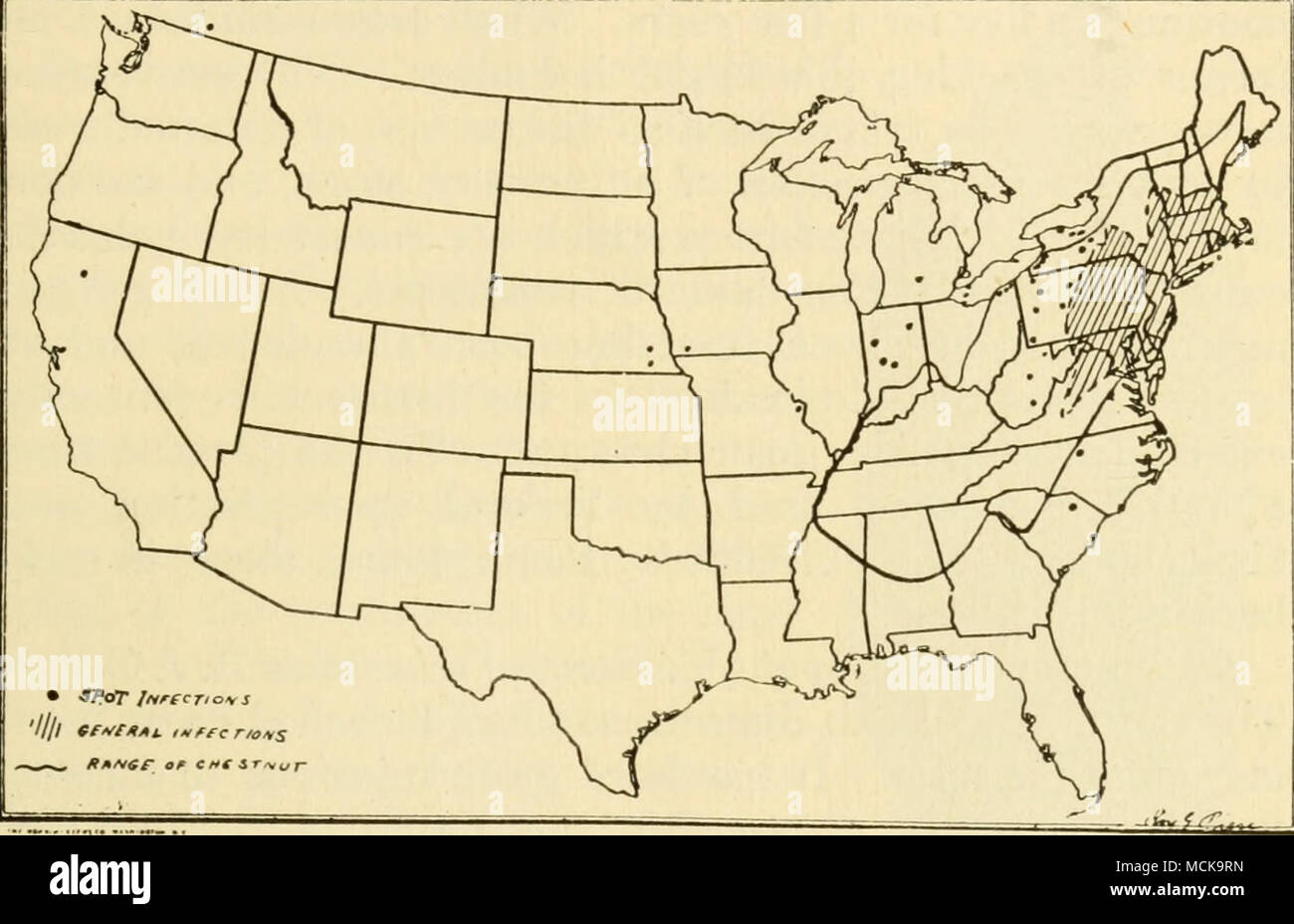 Chestnut blight hi-res stock photography and images - Alamy