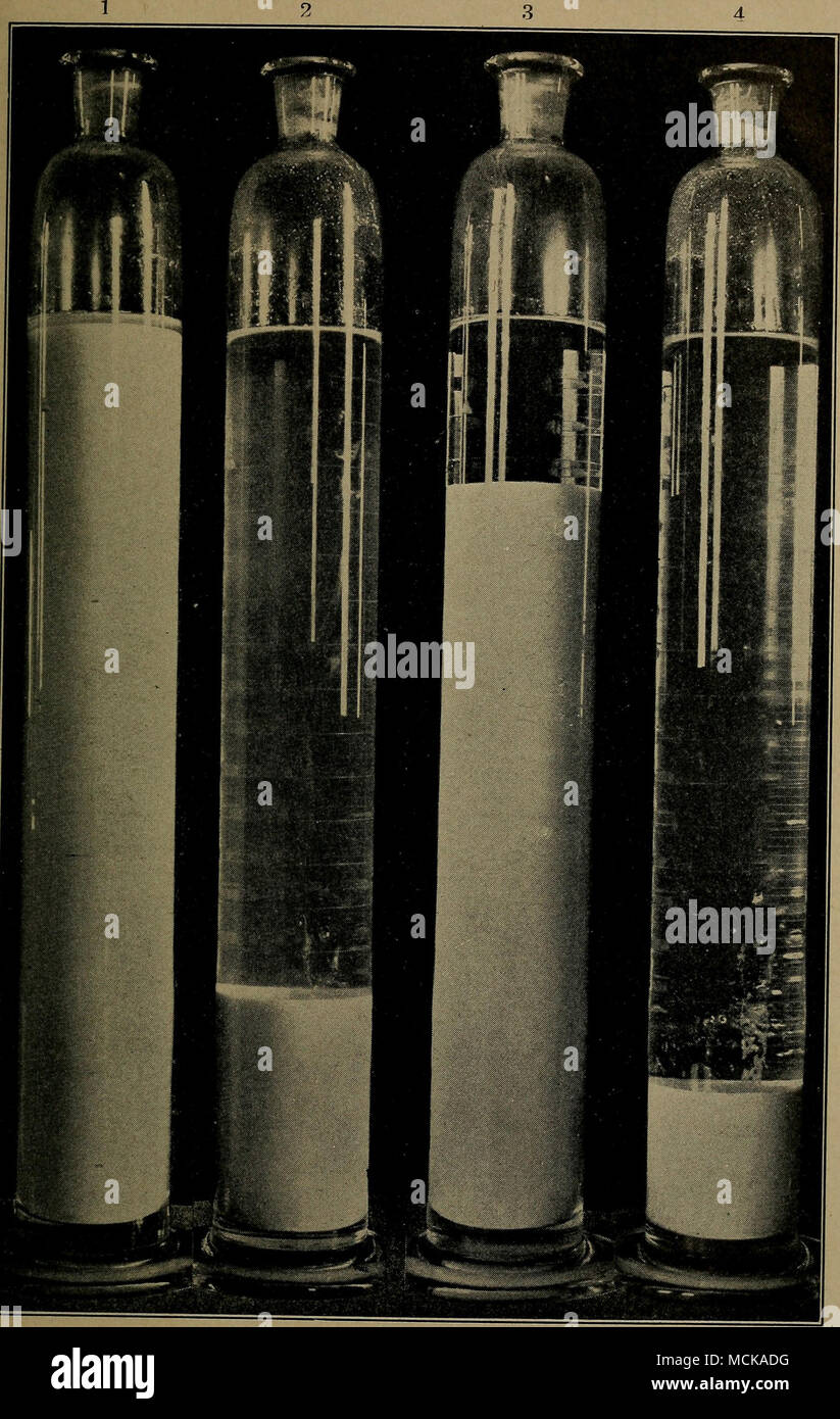 Bordeaux Mixture Stock Photos & Bordeaux Mixture Stock Images - Alamy