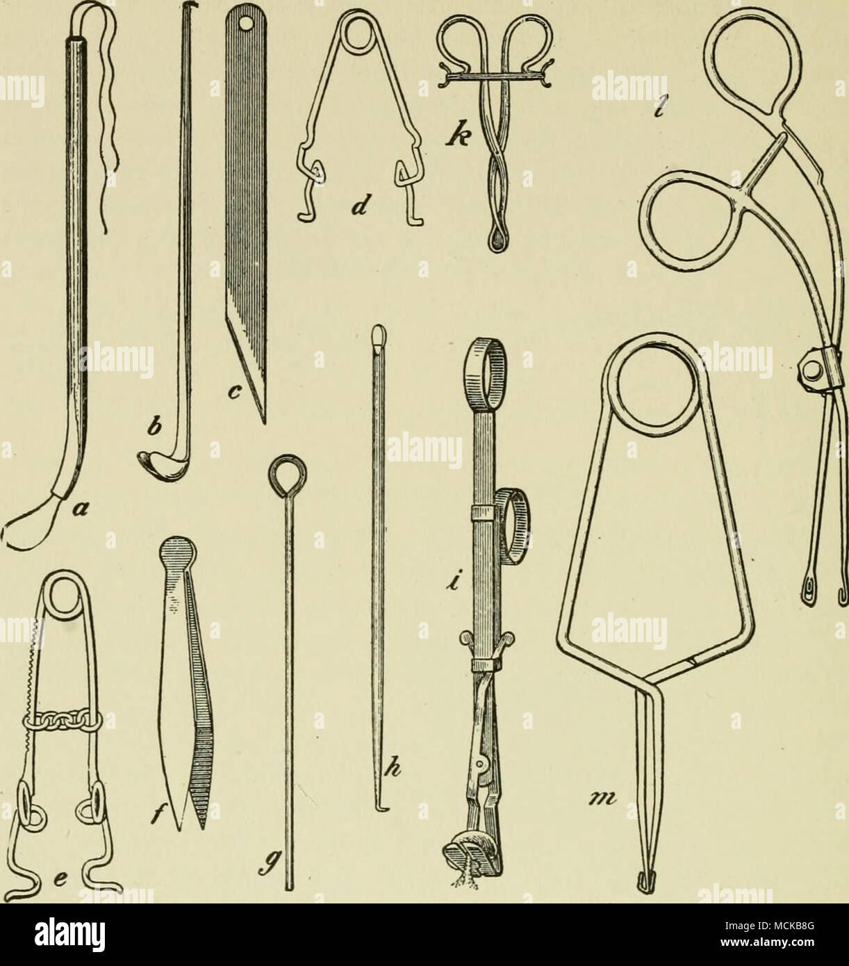 . Fig. 58. Instruments used in caponizing. (Slocum) leaving only a ...