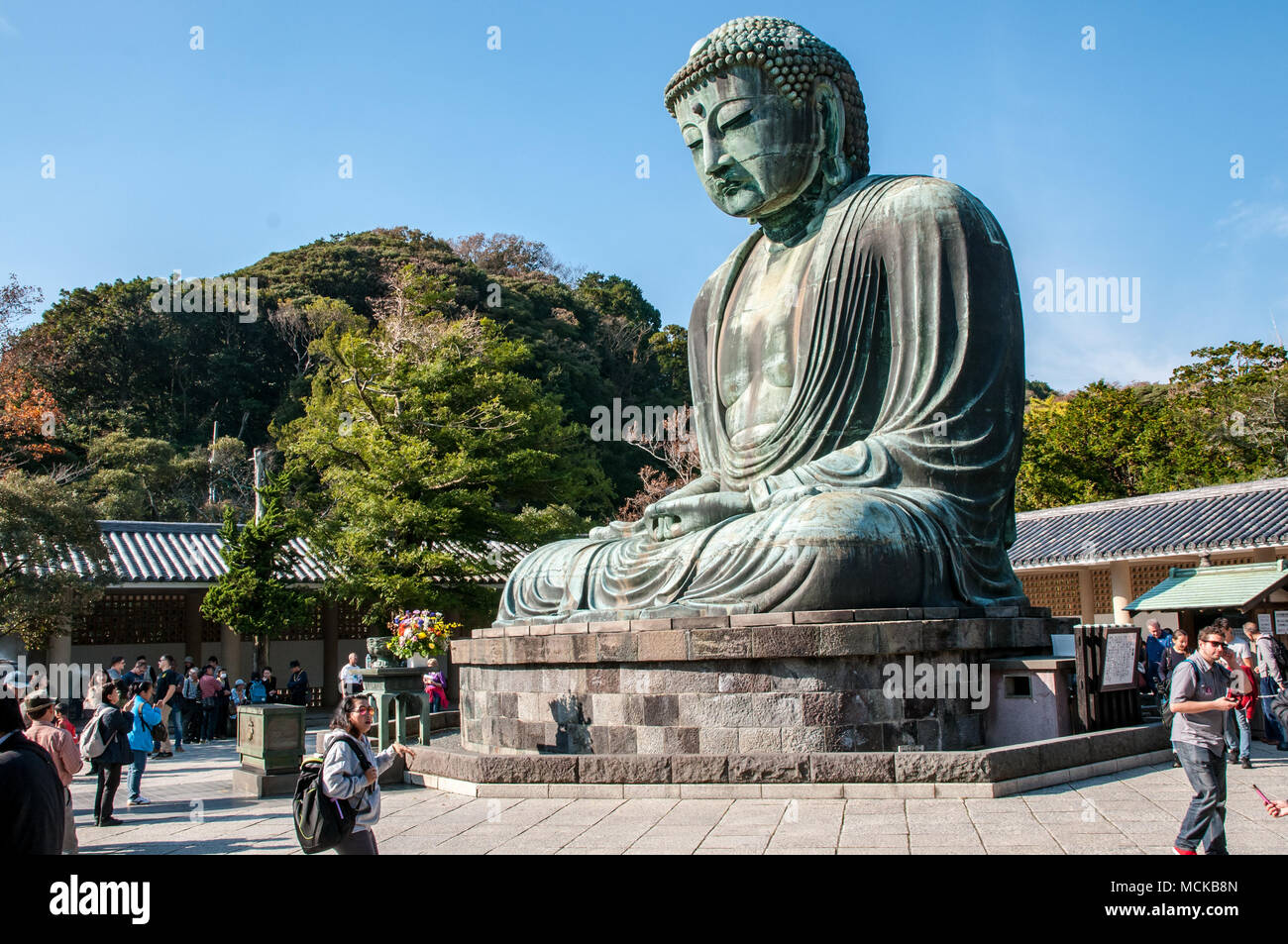 Daibutsu : the bronze statue of Big Buddha in Kamakura, Japan Stock ...