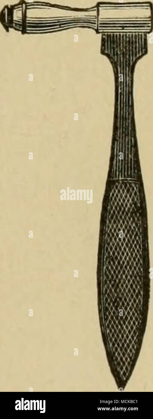 Pleximeter hi-res stock photography and images - Alamy