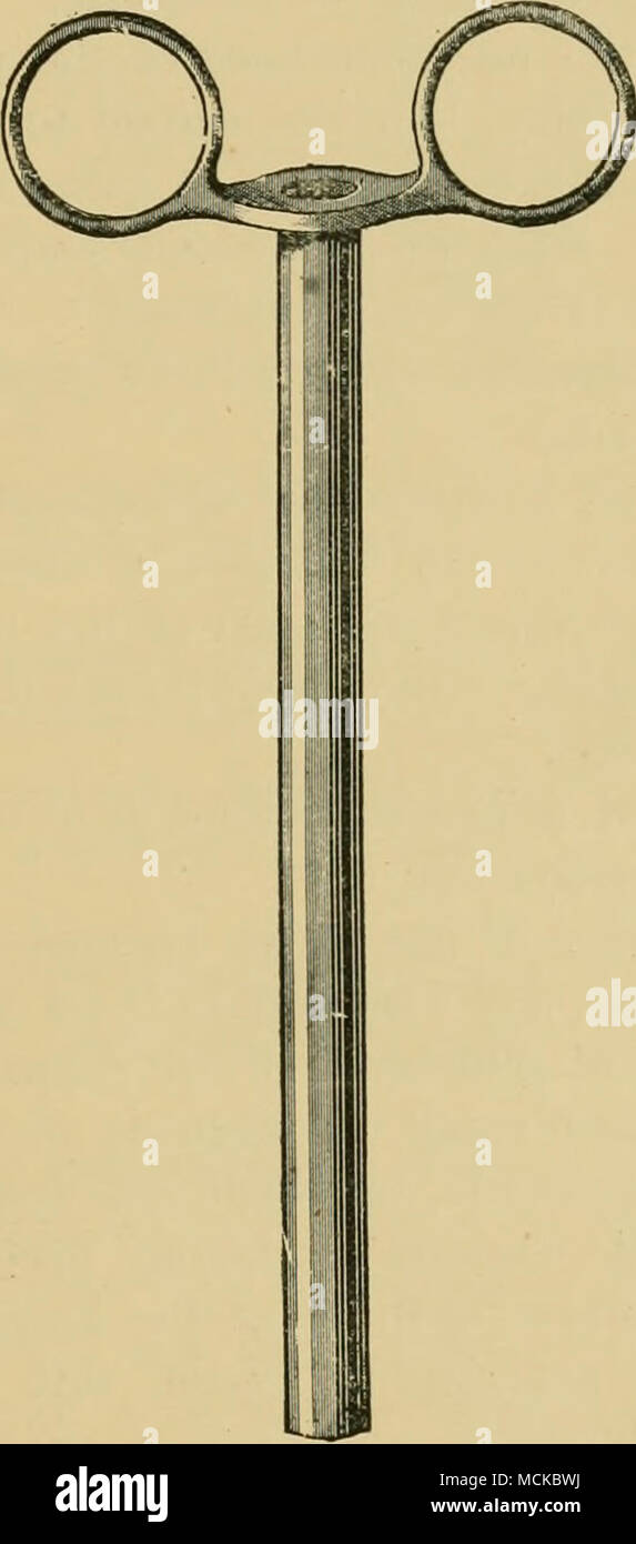 . Fig. 301.—Trocar for puncture of the rumen Stock Photo - Alamy