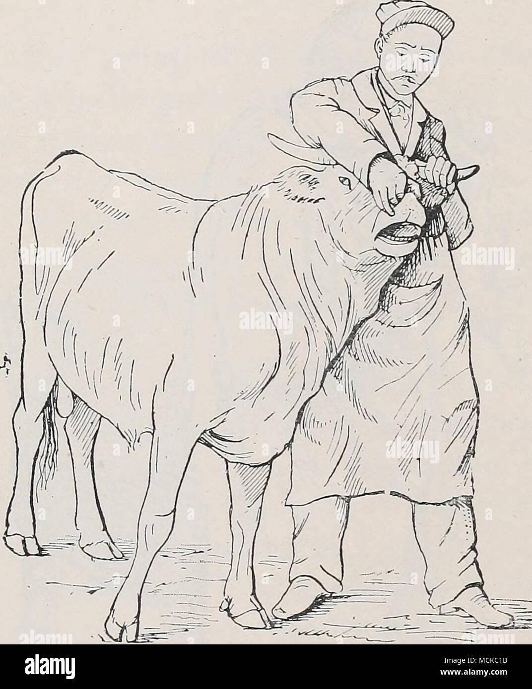 . Fig. 58.—Examination of the month Stock Photo - Alamy