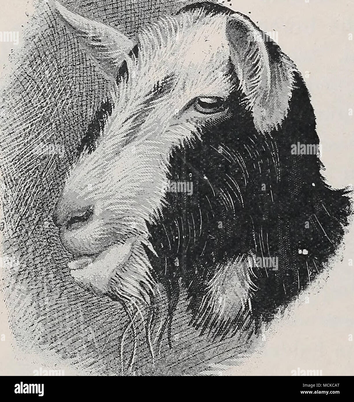 Cachexia hi-res stock photography and images - Alamy