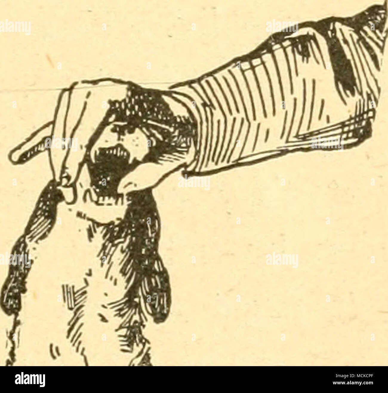 Llllllll hi-res stock photography and images - Alamy