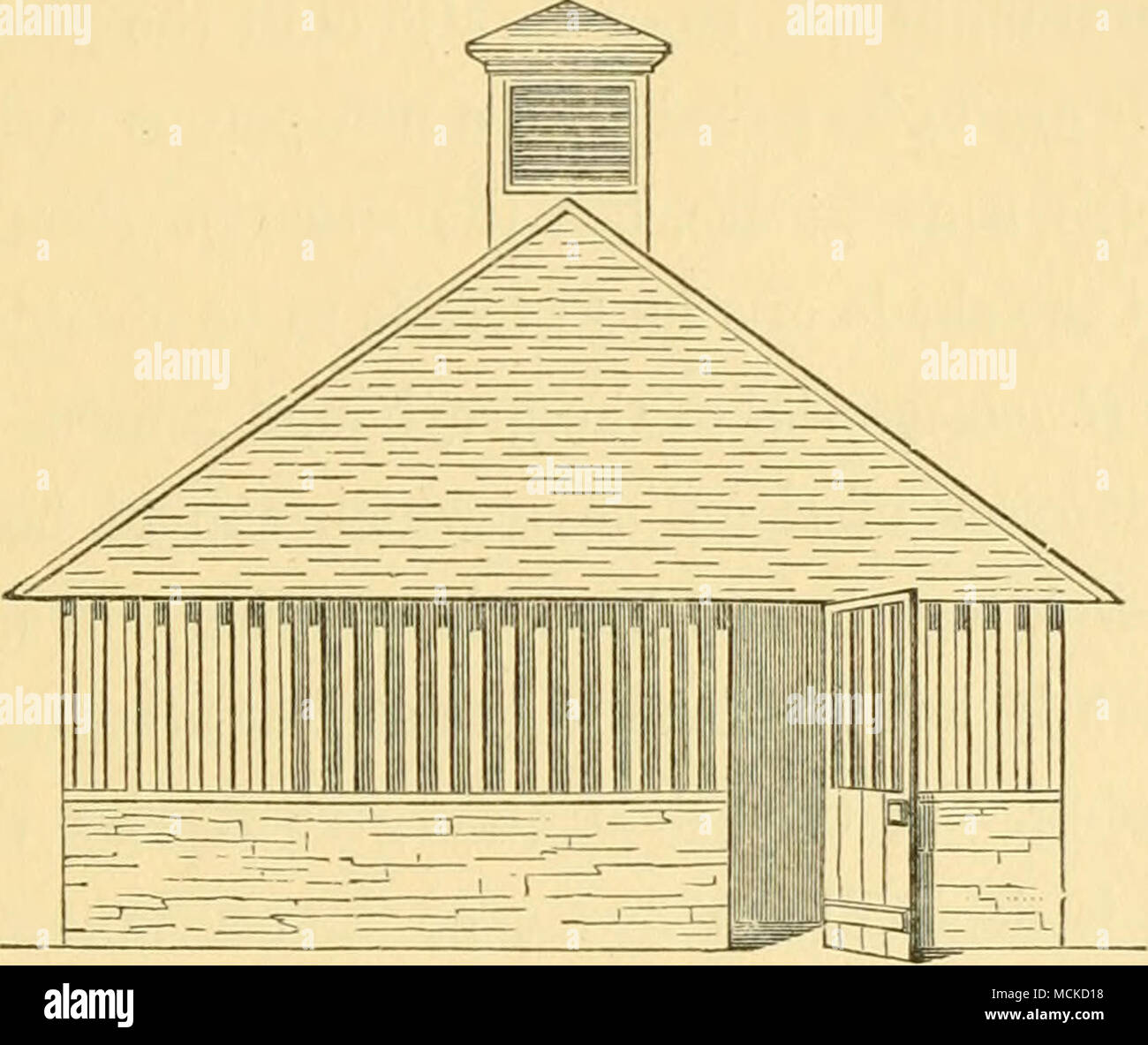 . Elevation of Greyhound Kennel. encourage the puppies to fence, by the ...
