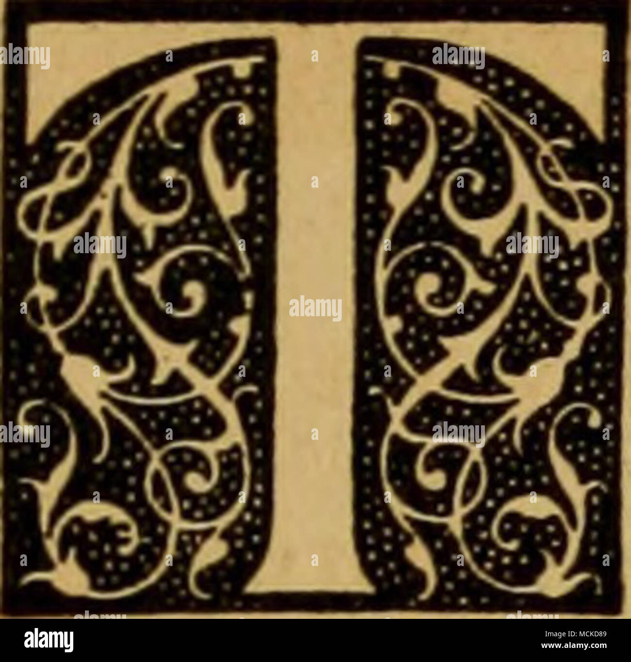 Stumpy point hi-res stock photography and images - Alamy