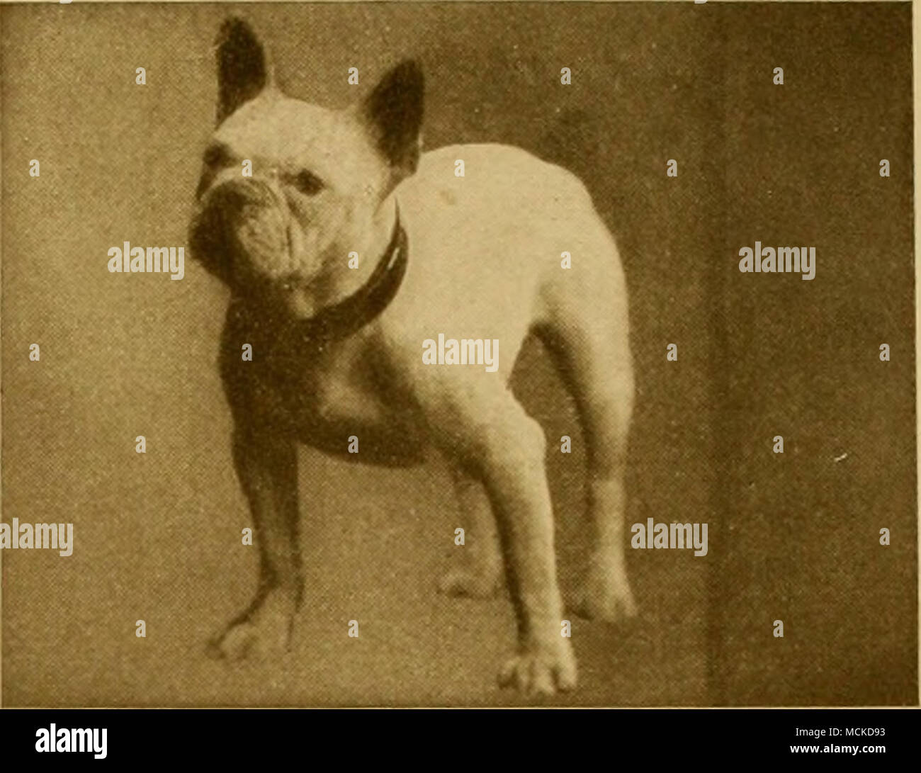 Pulsifer hi-res stock photography and images - Alamy