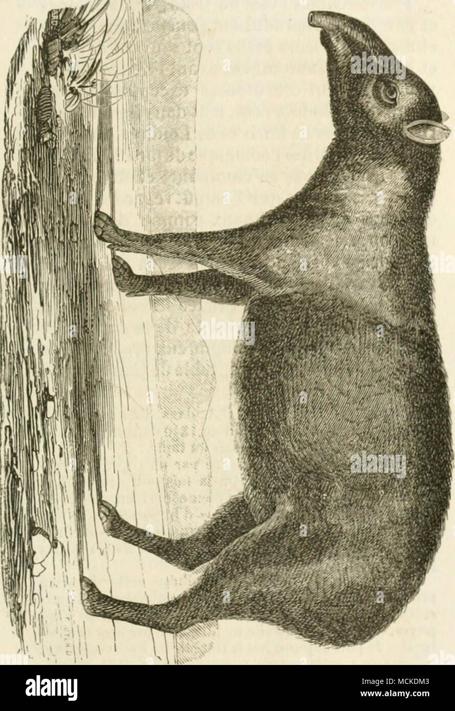 Bookcollectionmedi hi-res stock photography and images - Alamy