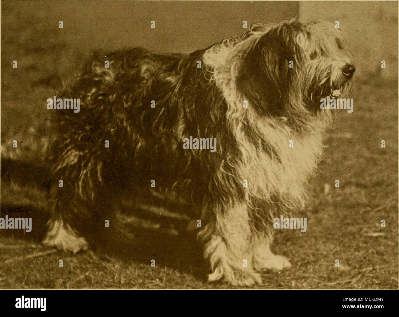 Mrs wilberforce hi-res stock photography and images - Alamy