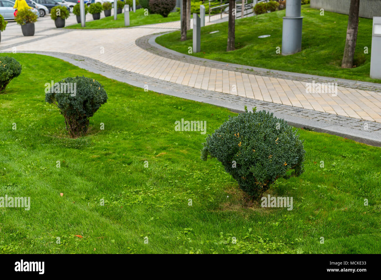 decorated stone paths in landscape design Stock Photo - Alamy