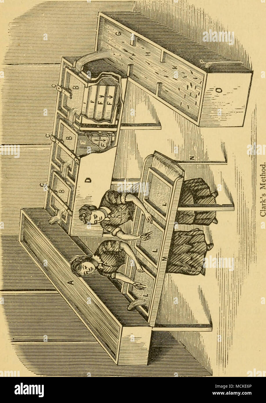 Bot eggs hi-res stock photography and images - Alamy