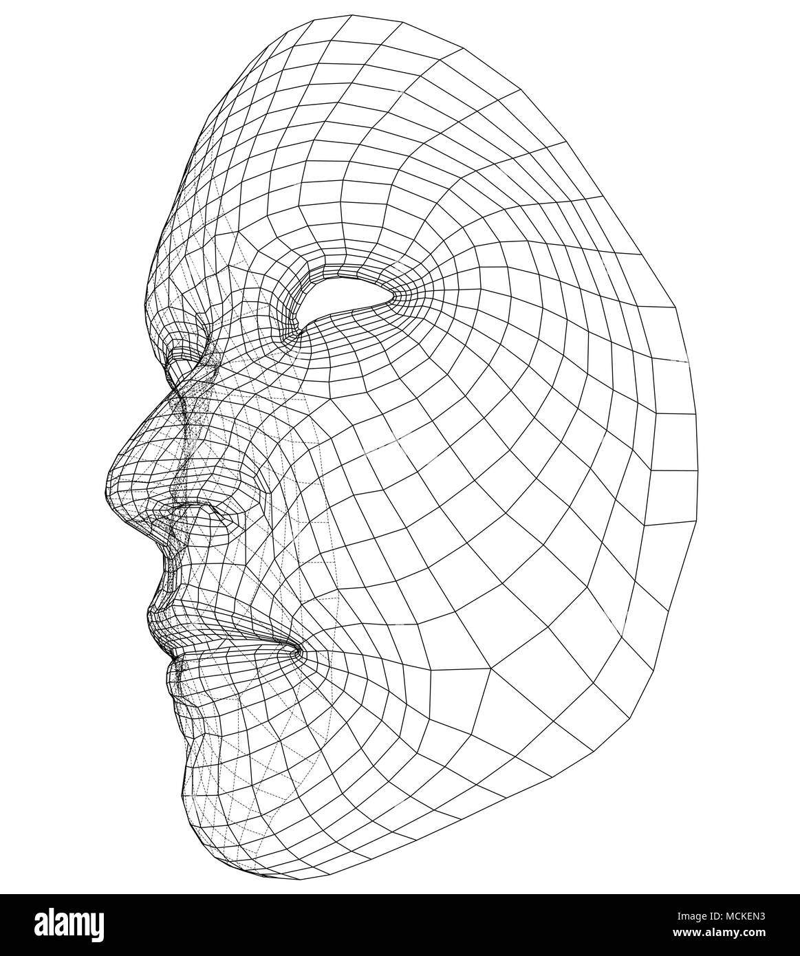 Human head and wire frame Cut Out Stock Images & Pictures - Alamy