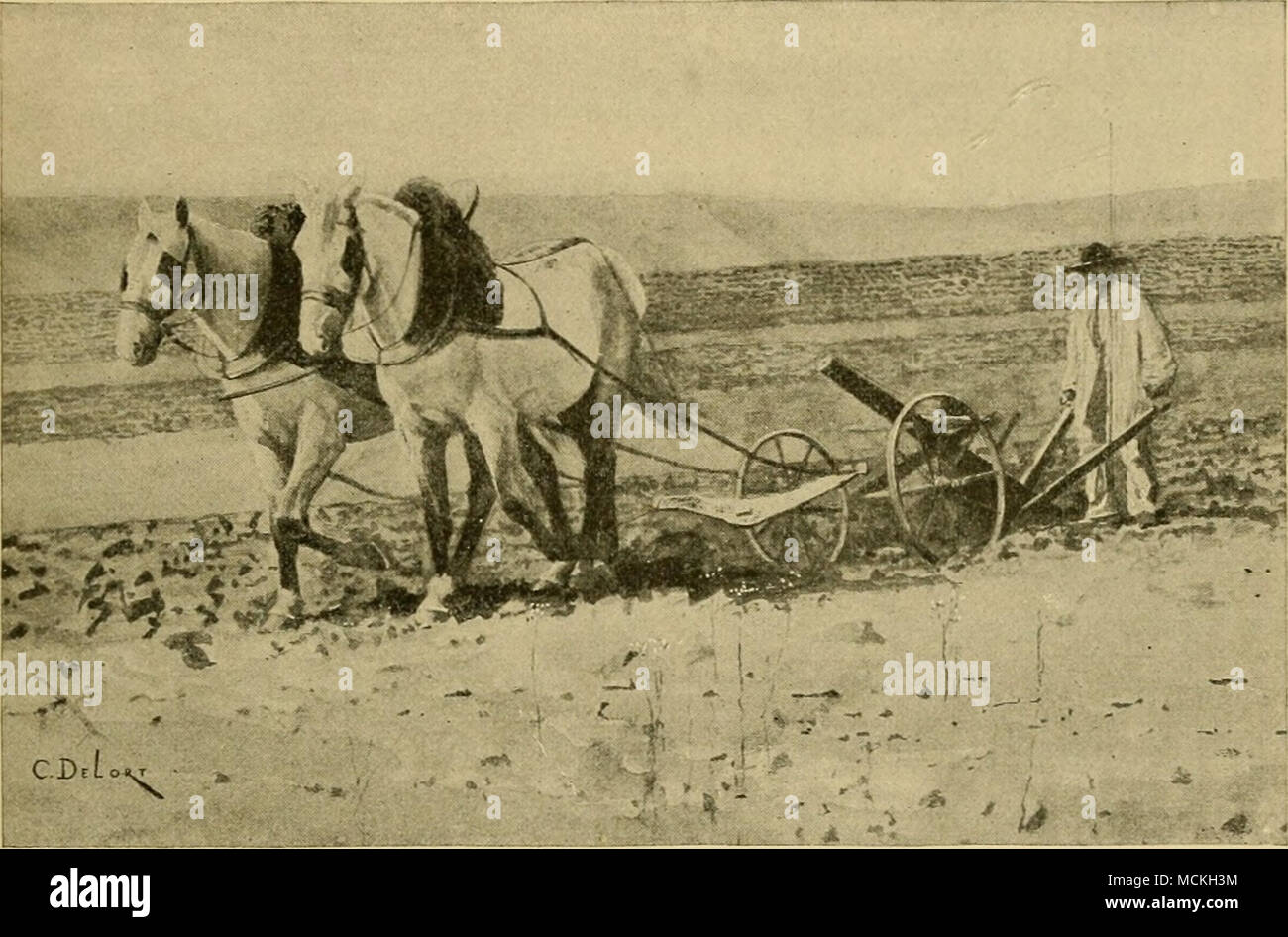 . Plough Horses, France tary art, the armies of that country might ...