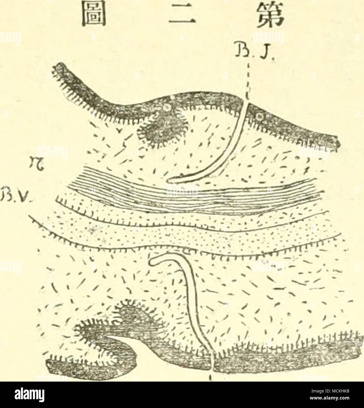 Oooooooooooooooo hi-res stock photography and images - Alamy