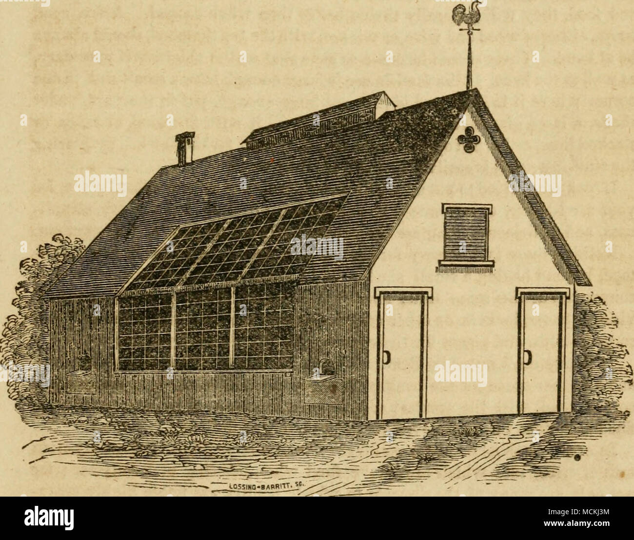 Poultry husbandry building hi-res stock photography and images - Alamy