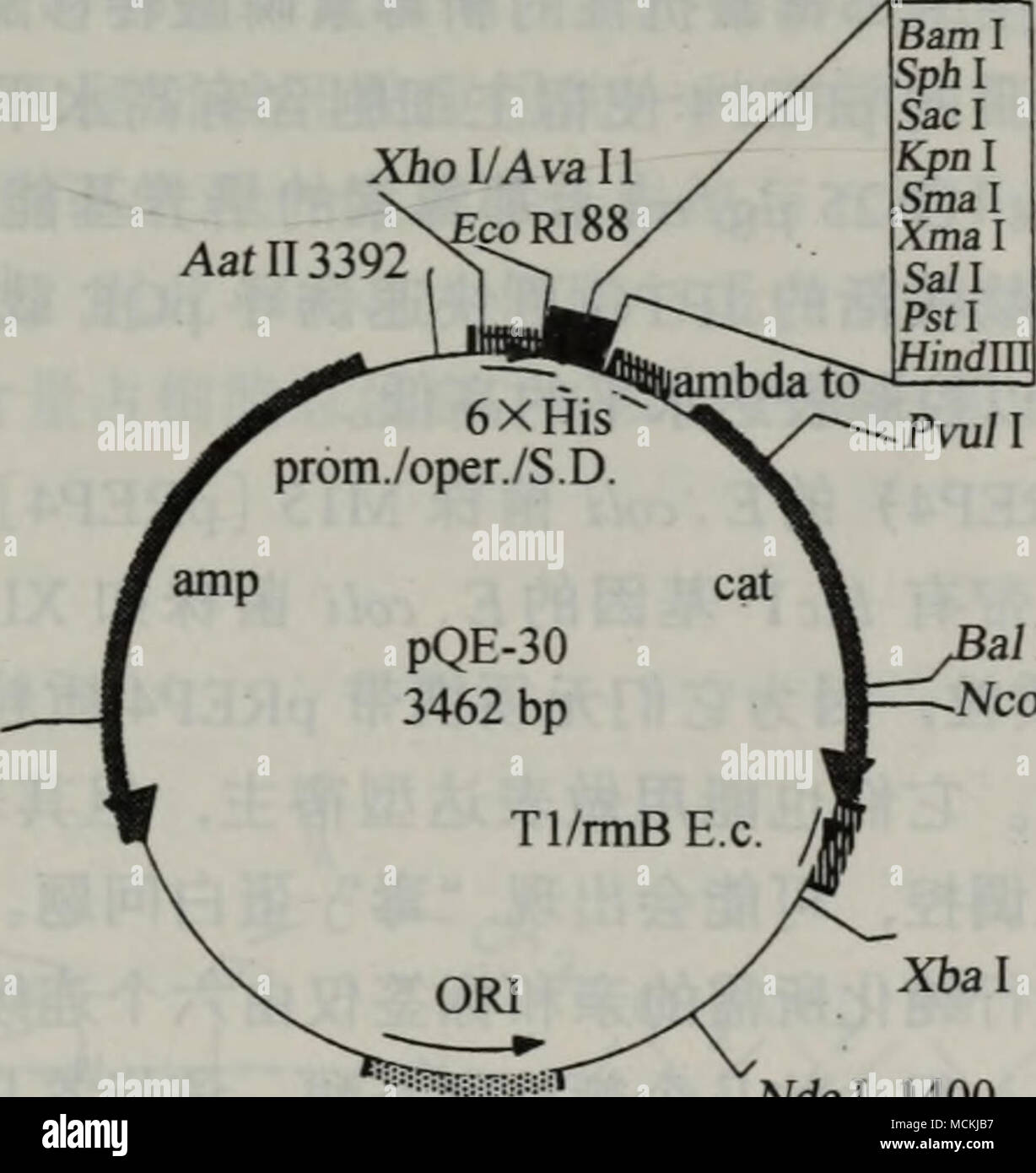 Ncol hi-res stock photography and images - Alamy