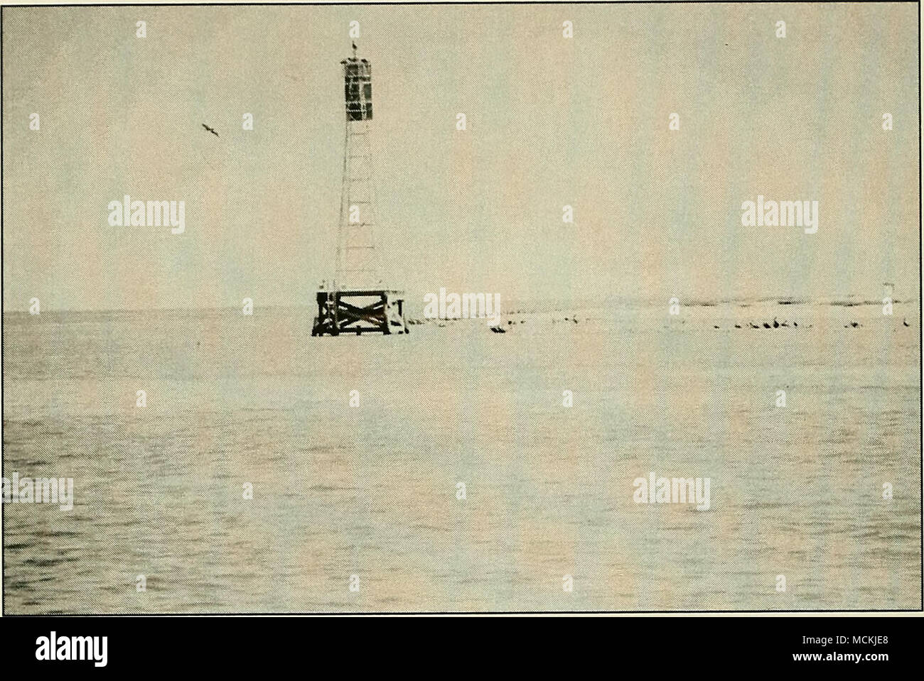 . Figure 17. Southwest corner of Sundown Island and channel range ...