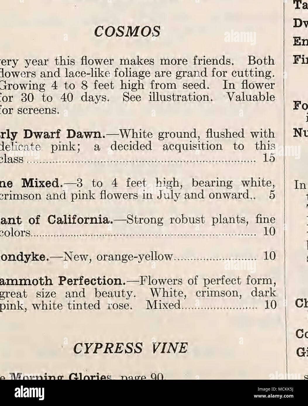 . (Prices per packet Stock Photo - Alamy