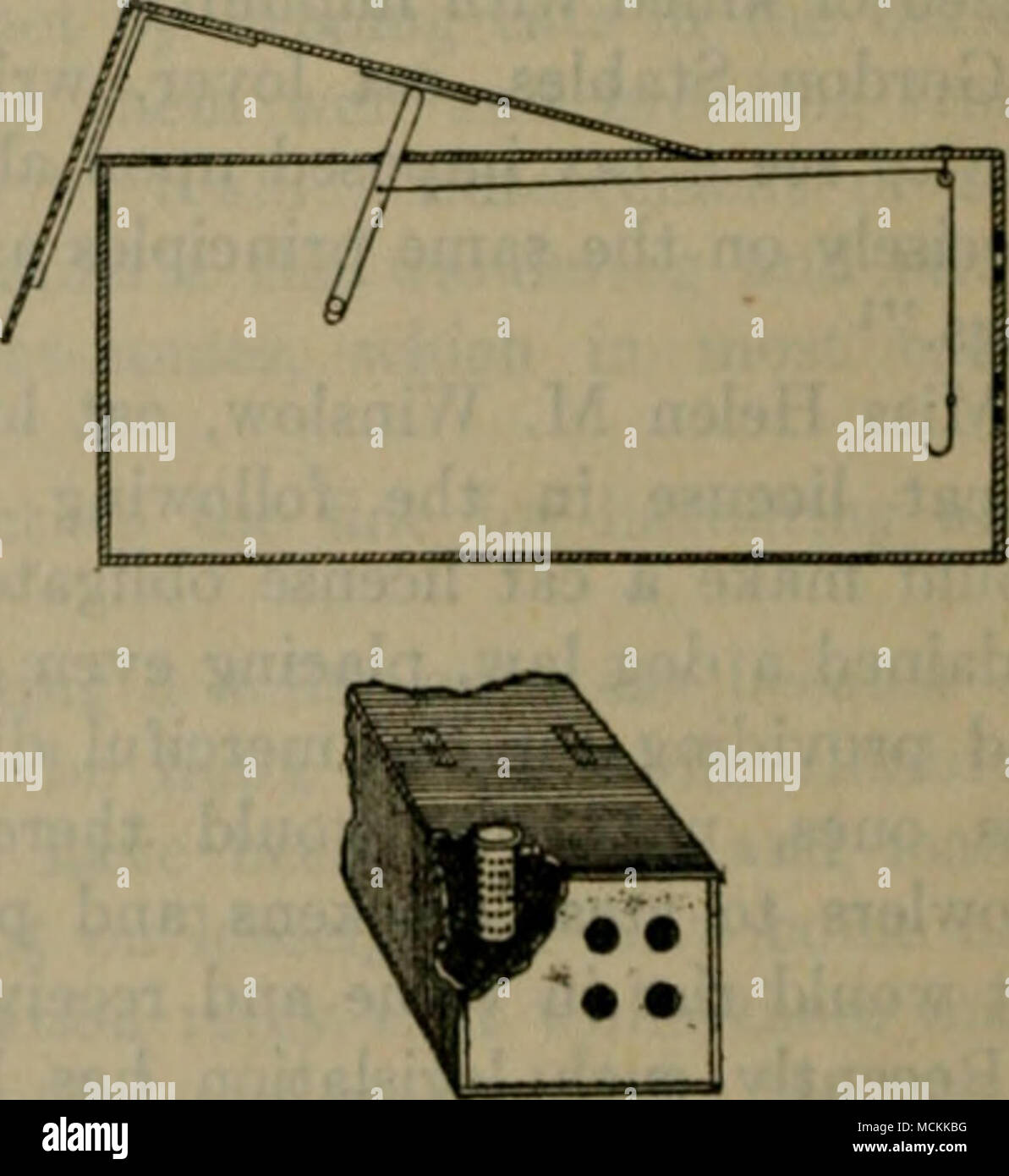 Humane killing trap hi-res stock photography and images - Alamy