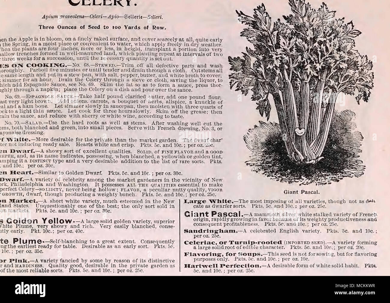 Modern mummies hi-res stock photography and images - Alamy