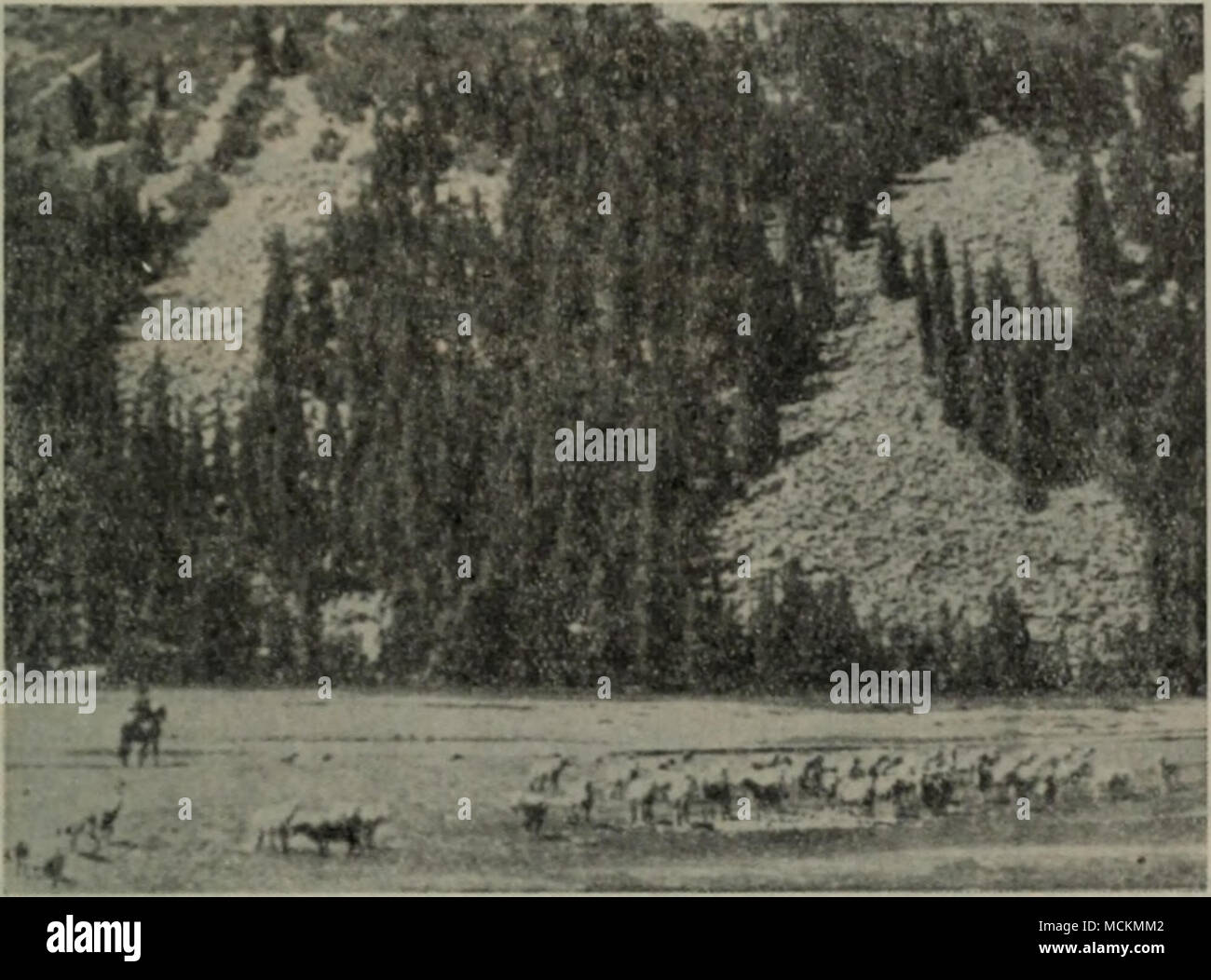 Systematic symbols hi-res stock photography and images - Alamy