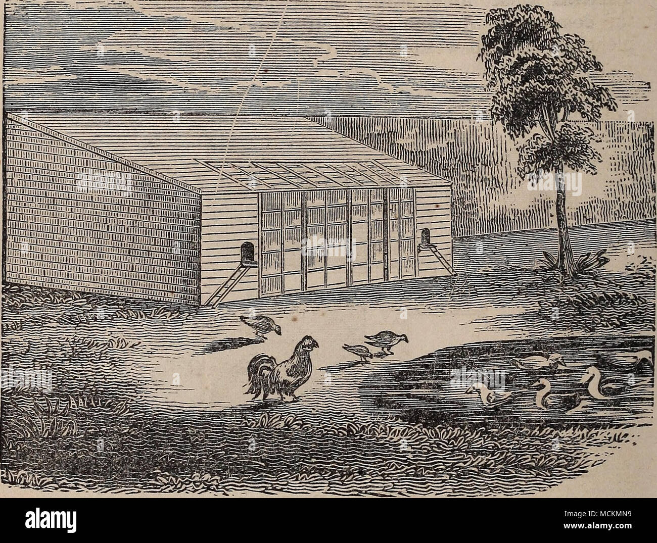 Lighted suit hi-res stock photography and images - Alamy